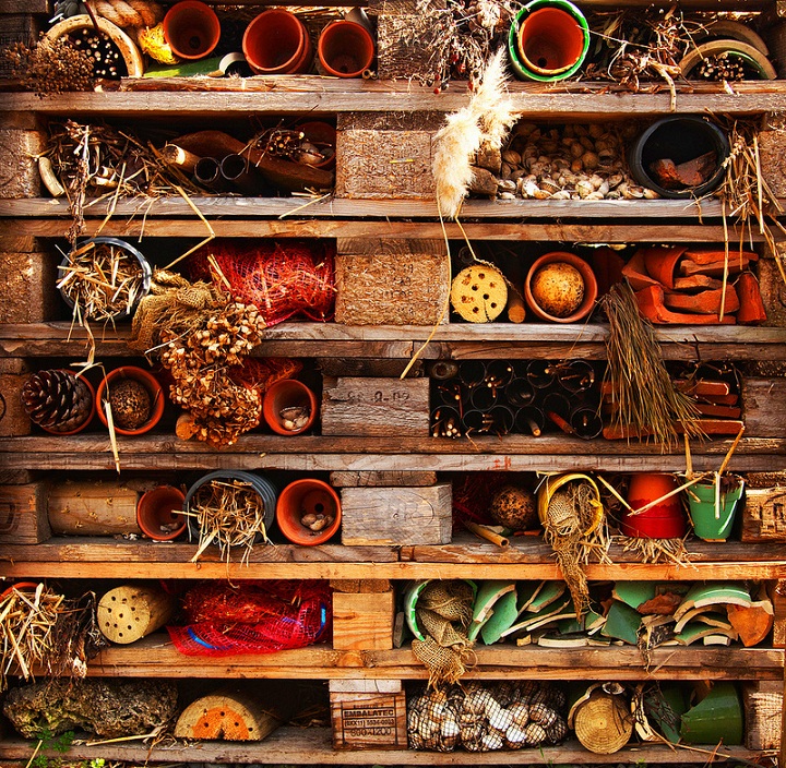 Insect Hotel • Insteading